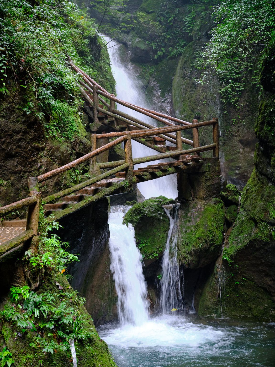 Qingcheng Mountain, Sichuan Province, China - fcracer.com
